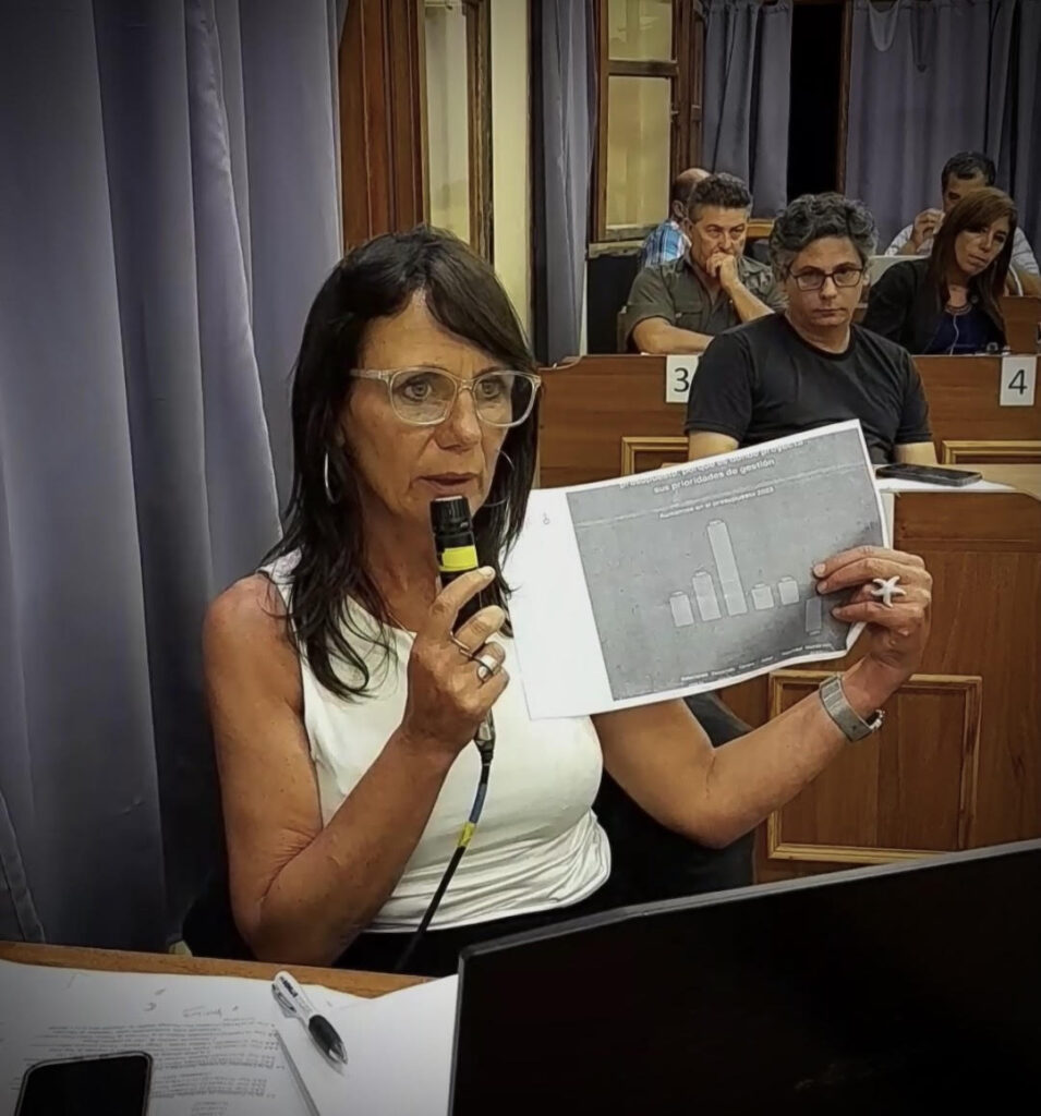La candidata a intendente de Juntos, Clarisa Armando, pidió licencia en ...