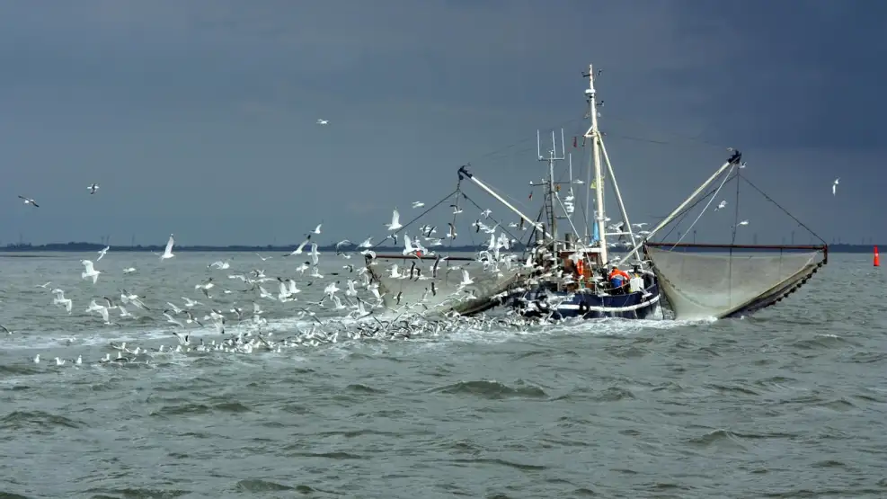 Qué es el tratado de altamar, que se espera que sea ratificado por ...